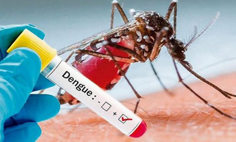 26 de Agosto - Día Internacional contra el Dengue - Distribuidora Uruguay